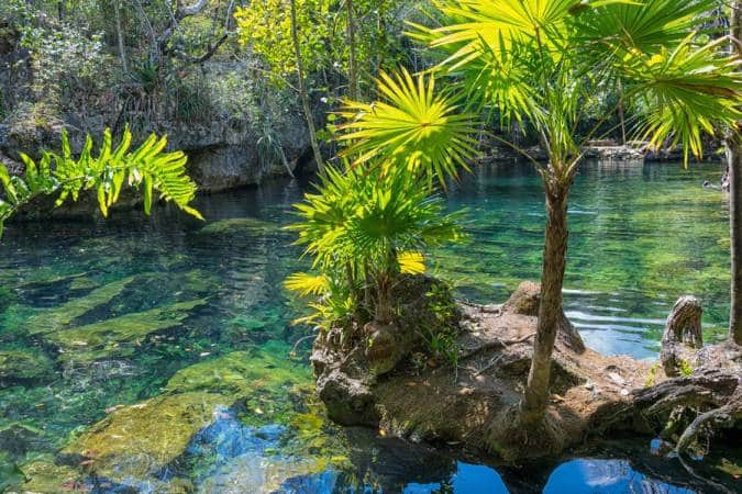 15 Things to Do in Dominica Through the Eyes of a Traveler