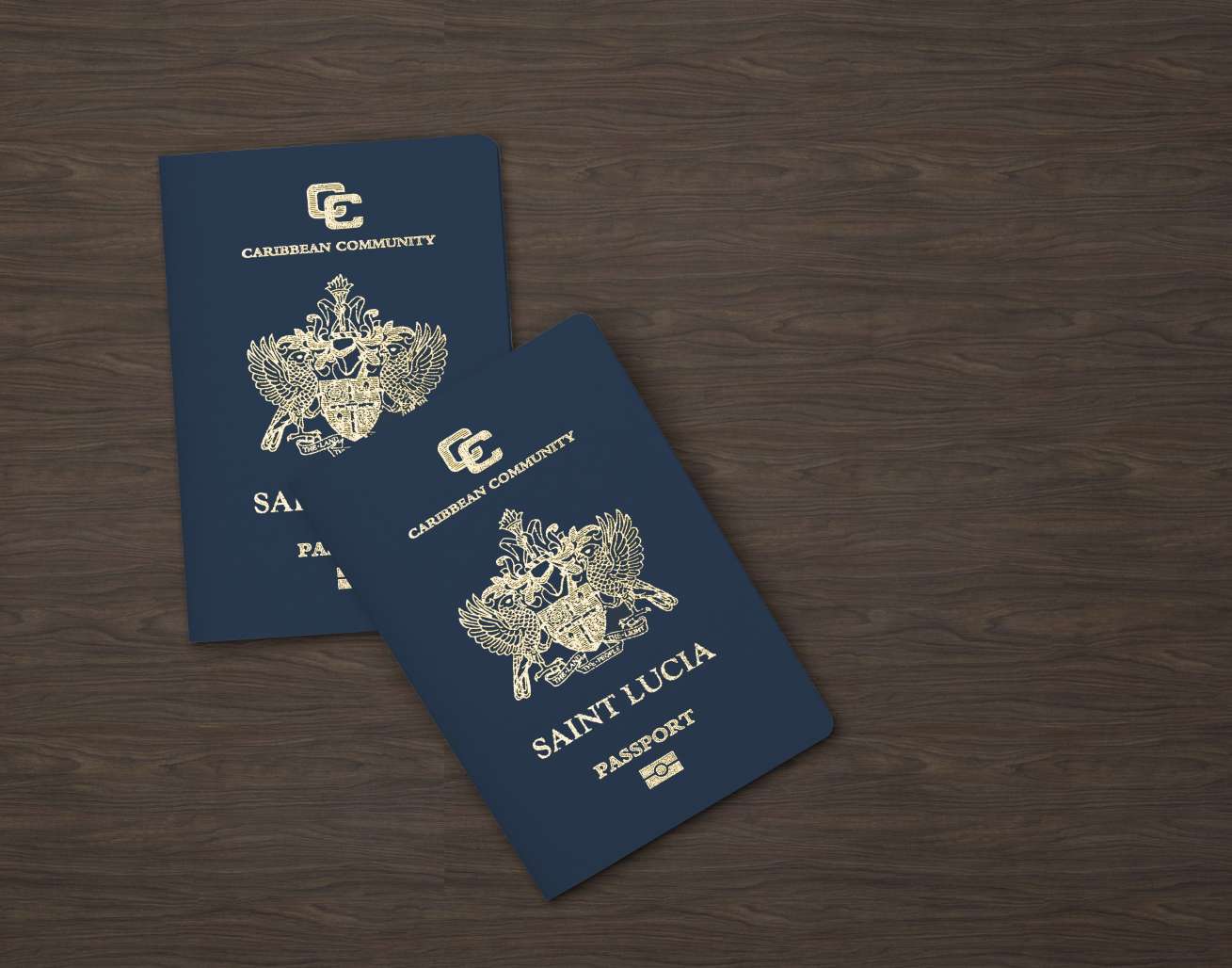 The Rise of Electronic Passports