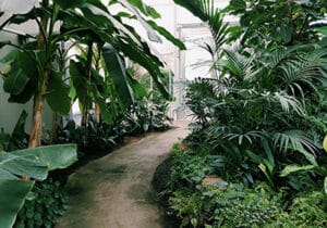 The 10 Most Sustainable Countries in The World in 2025