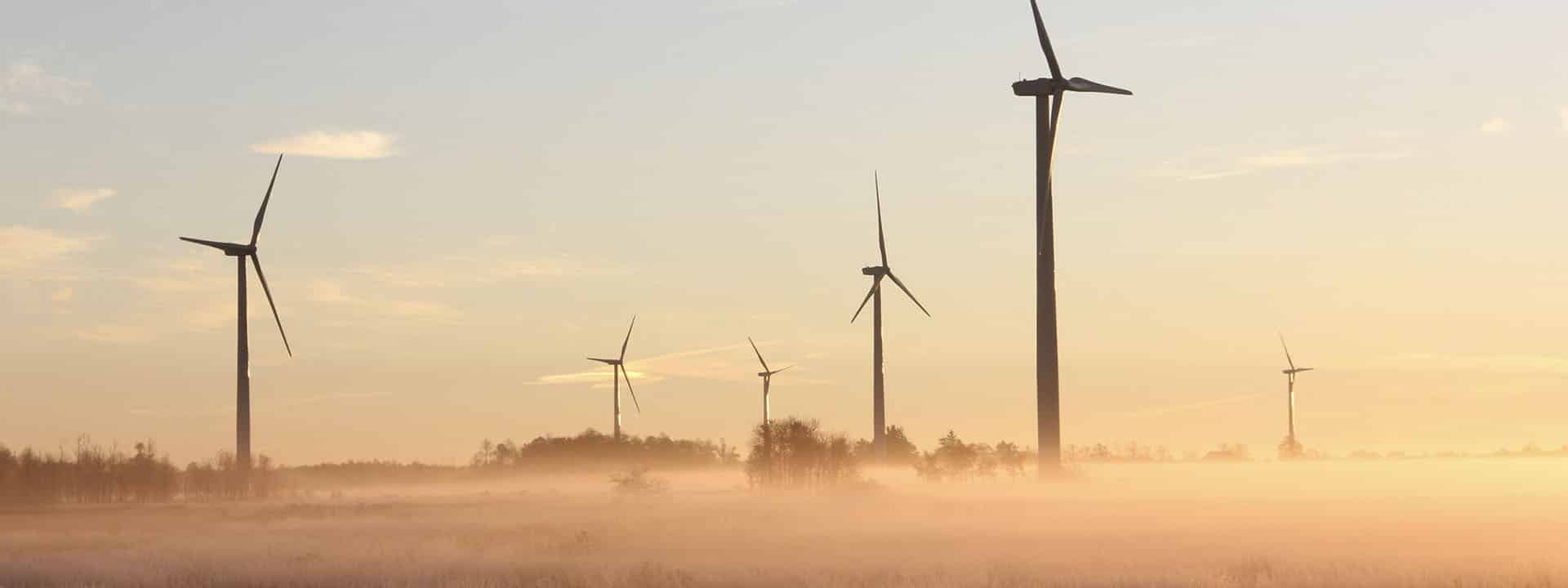 20 Most Sustainable Countries in 2025: Most Eco-Friendly Countries