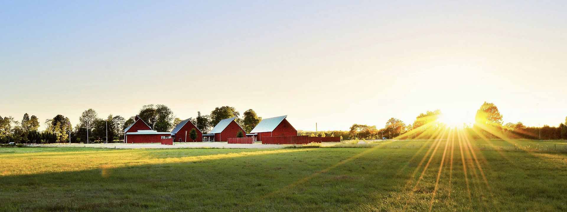 What is the cleanest country in the world? Here are the top 10!