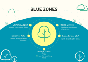 Extending the Blue Zone Model: New Destinations for Quality of Life and ...